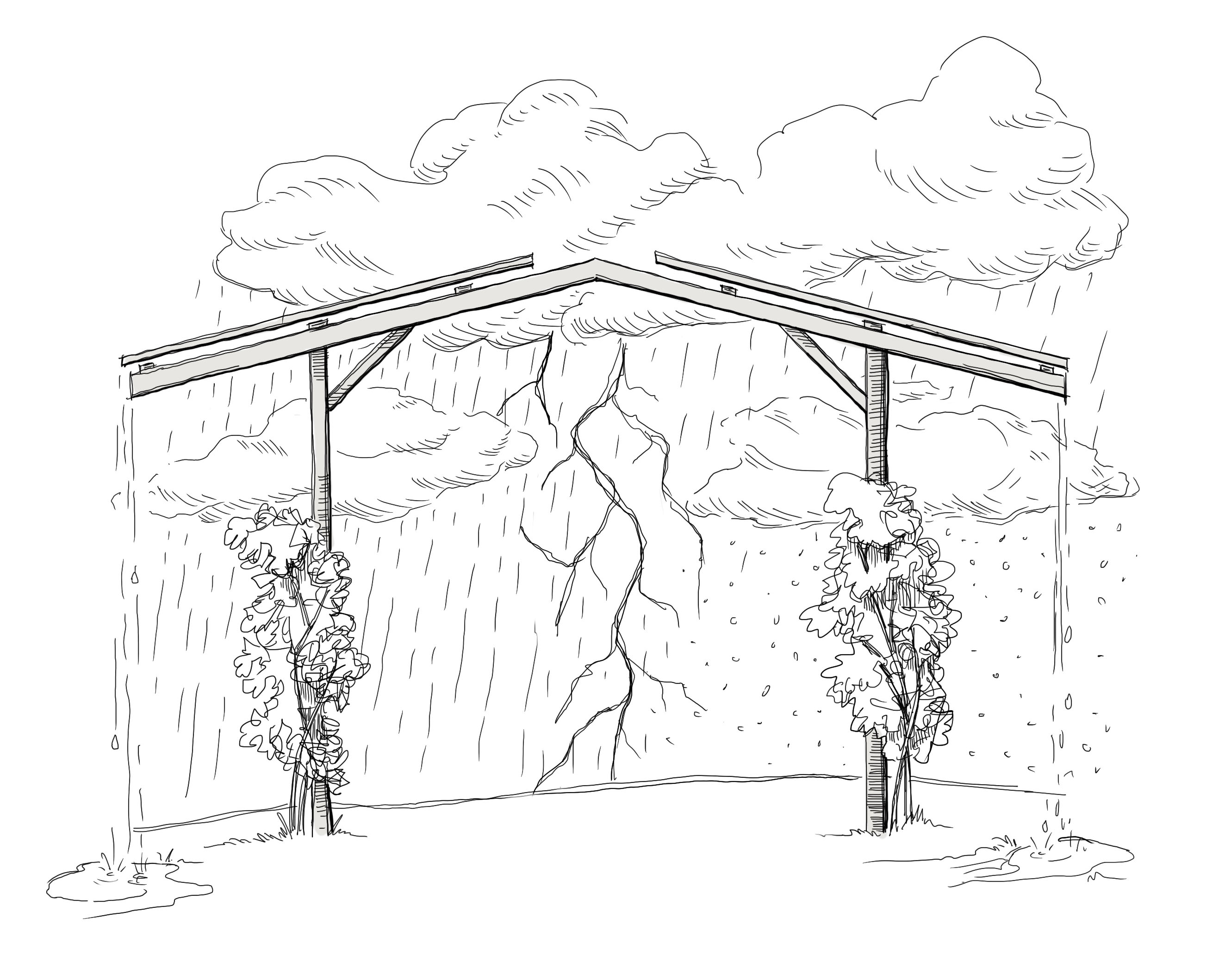 Agri-PV - Megasol Energie AG
